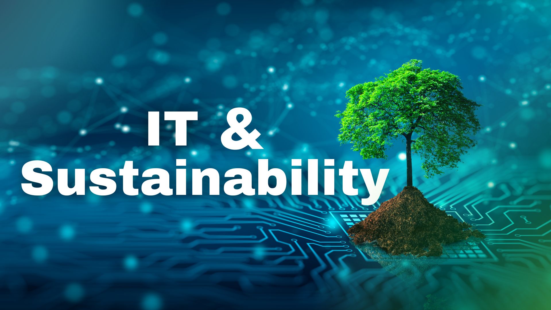 IT & Sustainability — CRIDS
